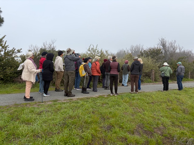 Volunteer Training | Petaluma Wetlands Alliance
